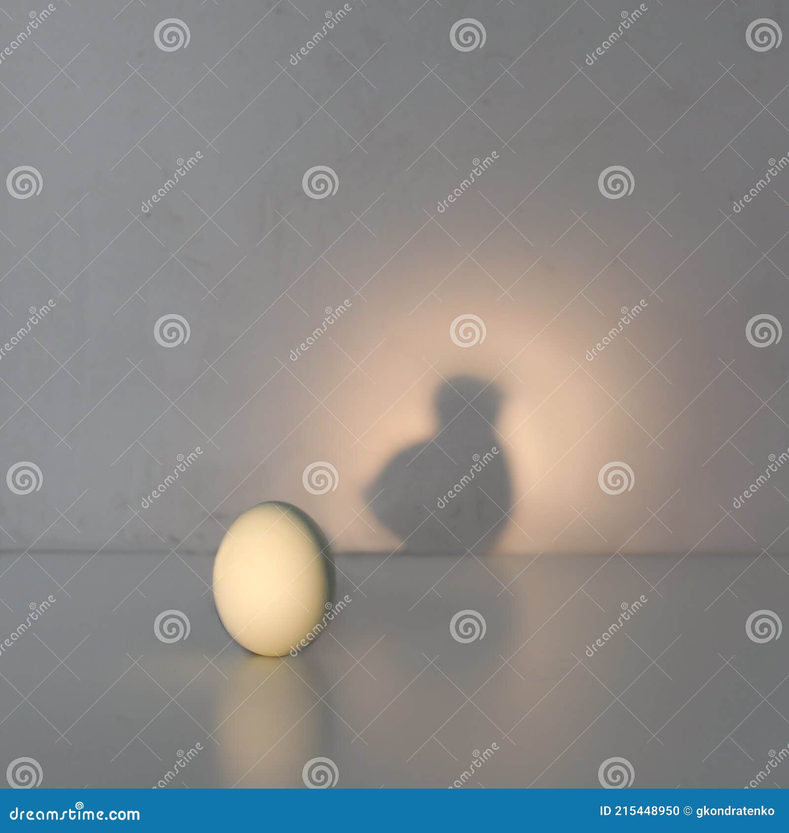 Egg Casting Shadow of Chicken. Creative Conceptual Photo Stock Photo ...