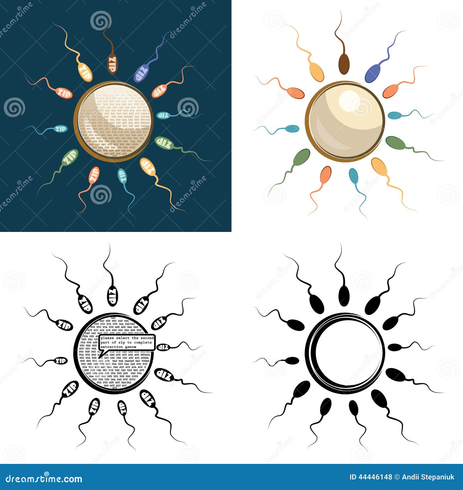 Egg cell stock vector. Illustration of information, medicine - 44446148