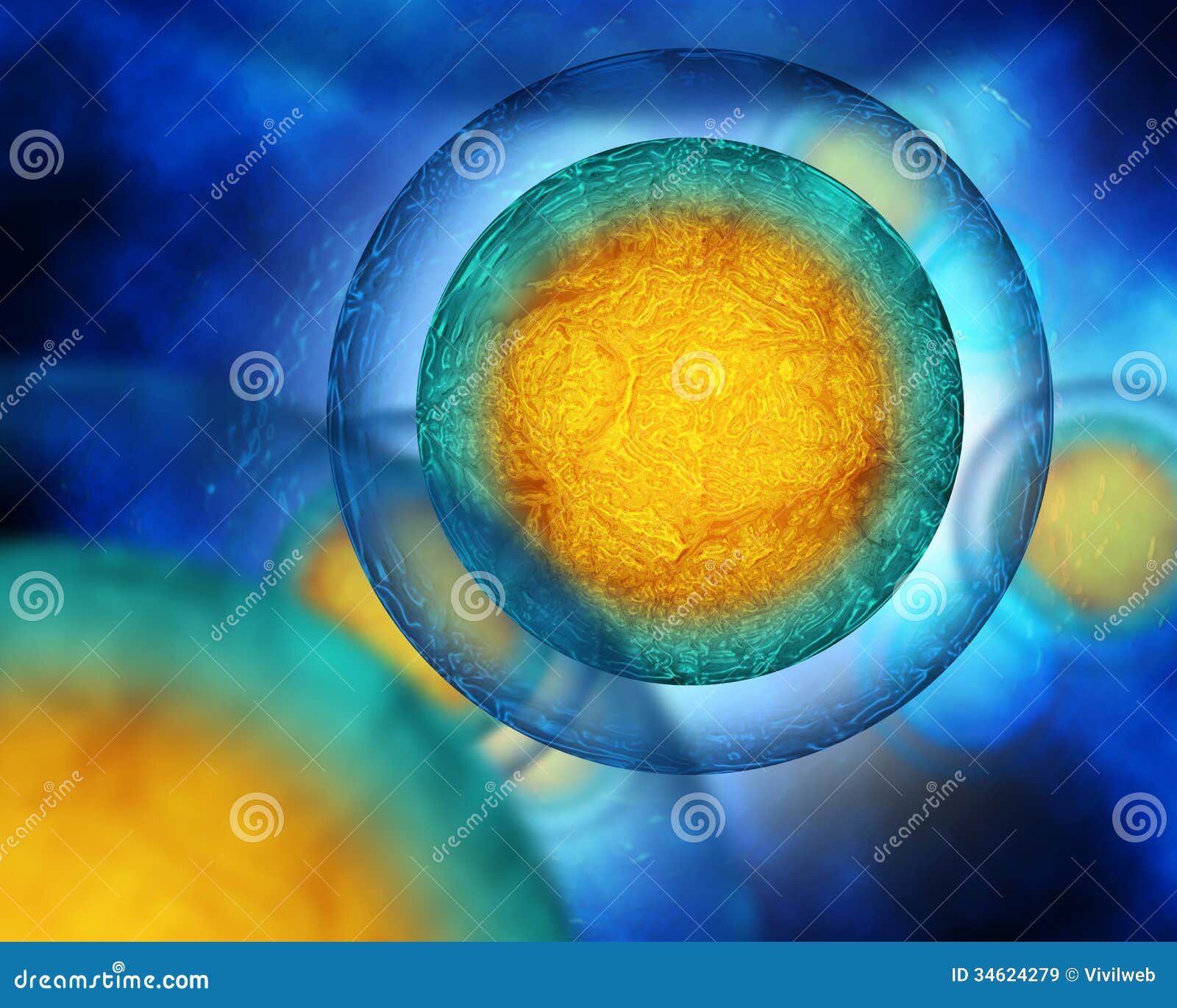 Egg cells stock illustration. Illustration of fertile - 34624279