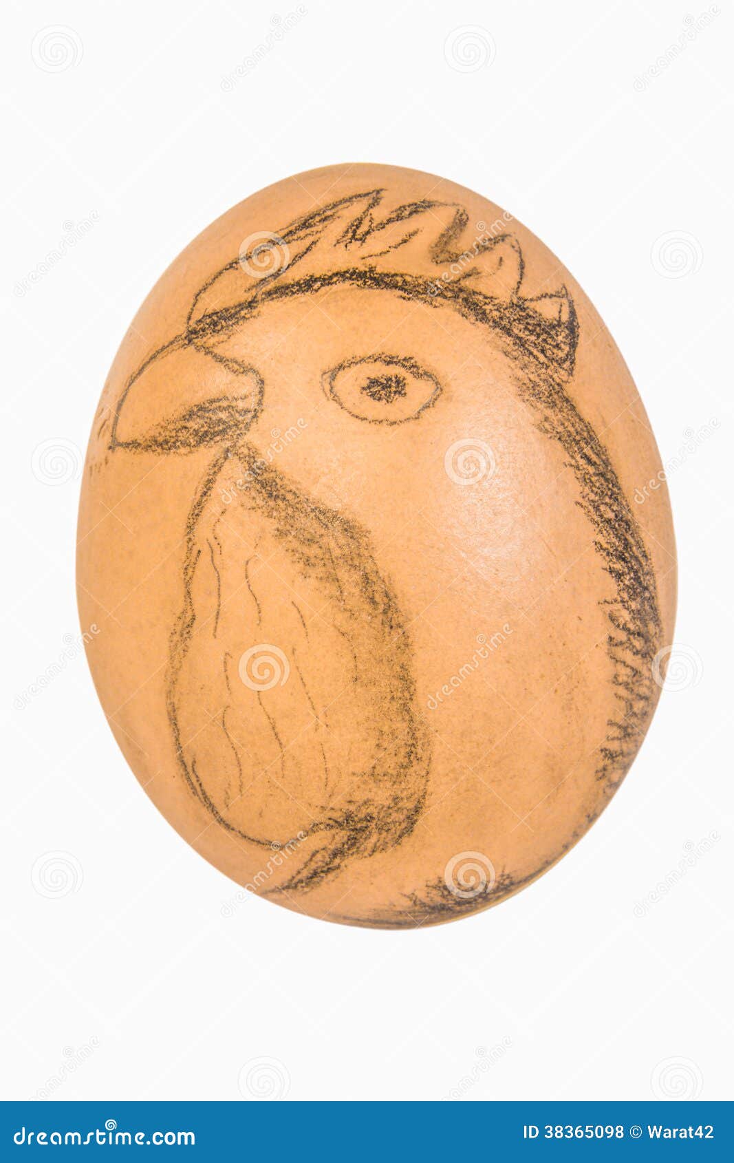 Egg with chicken head stock photo. Image of eggshell - 38365098