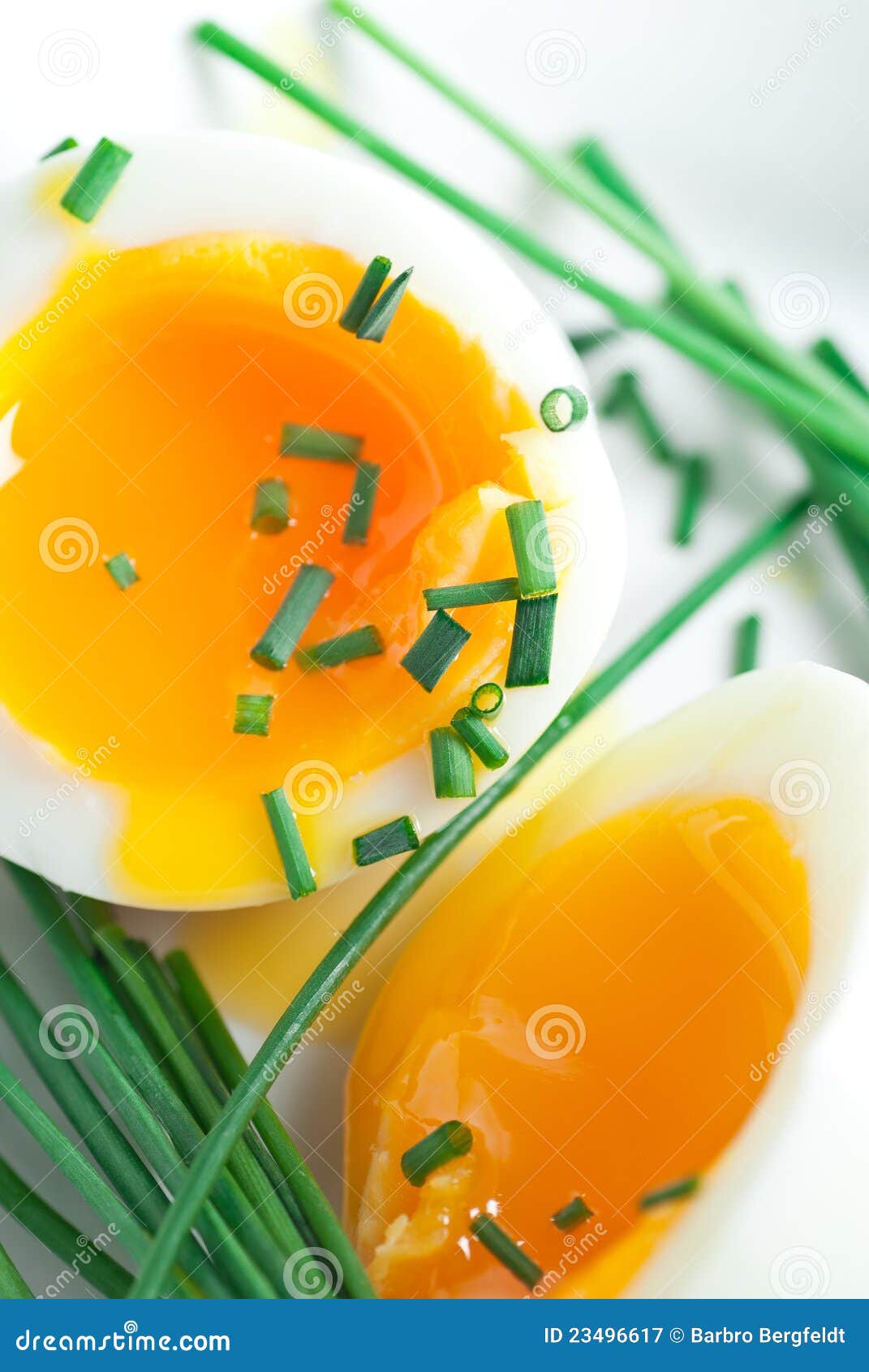 Egg and Chives stock image. Image of close, soft, portion - 23496617