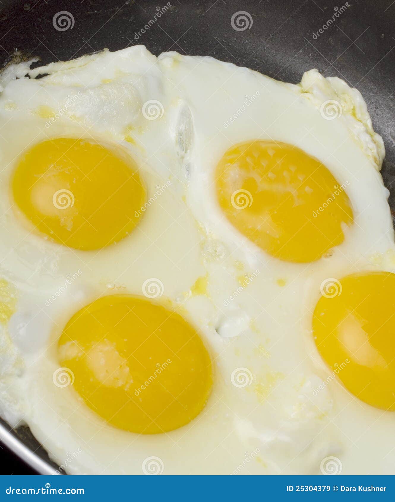 Egg Close-Up stock image. Image of cholesterol, eggs - 25304379