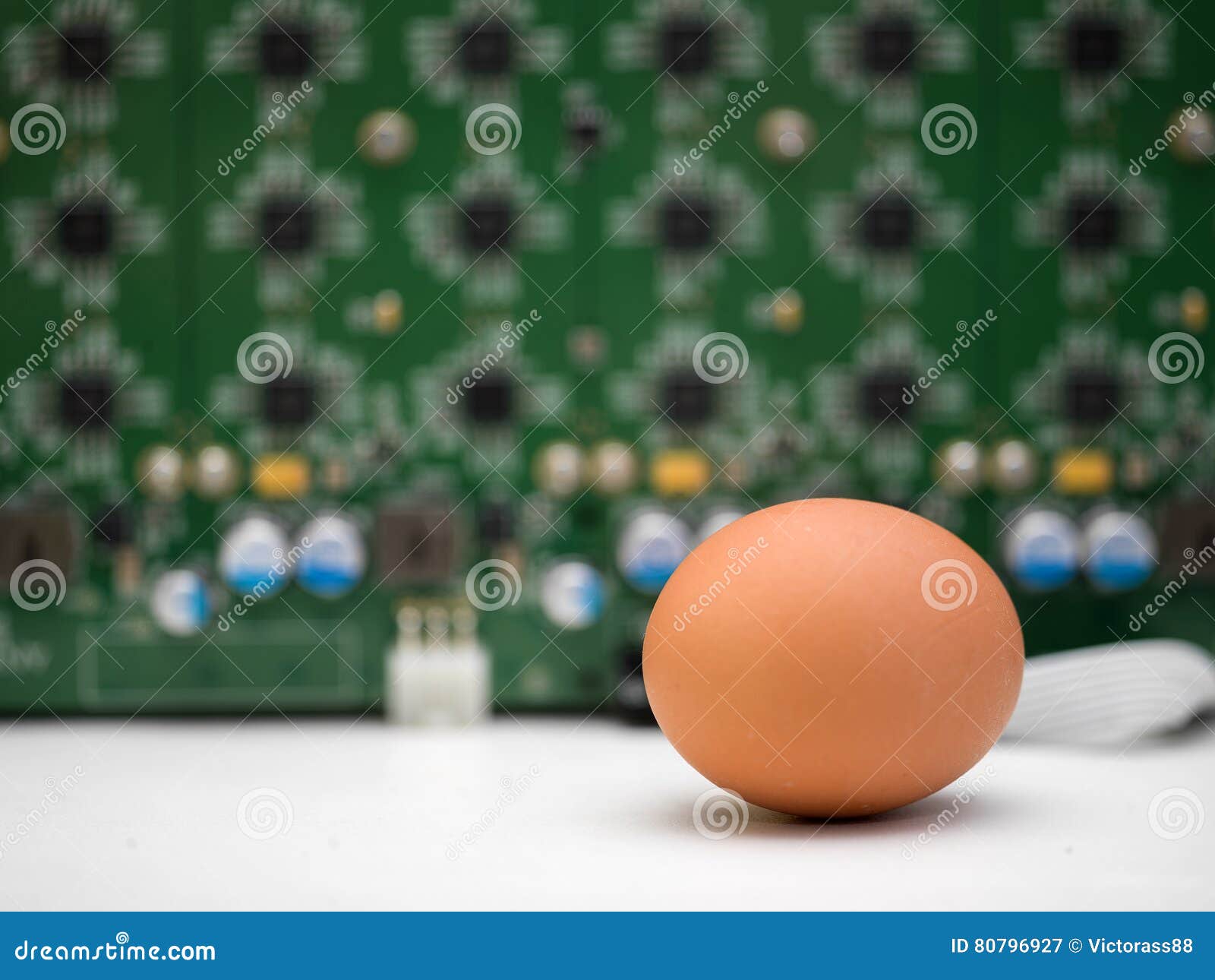 Egg and Computer stock image. Image of system, simplicity - 80796927