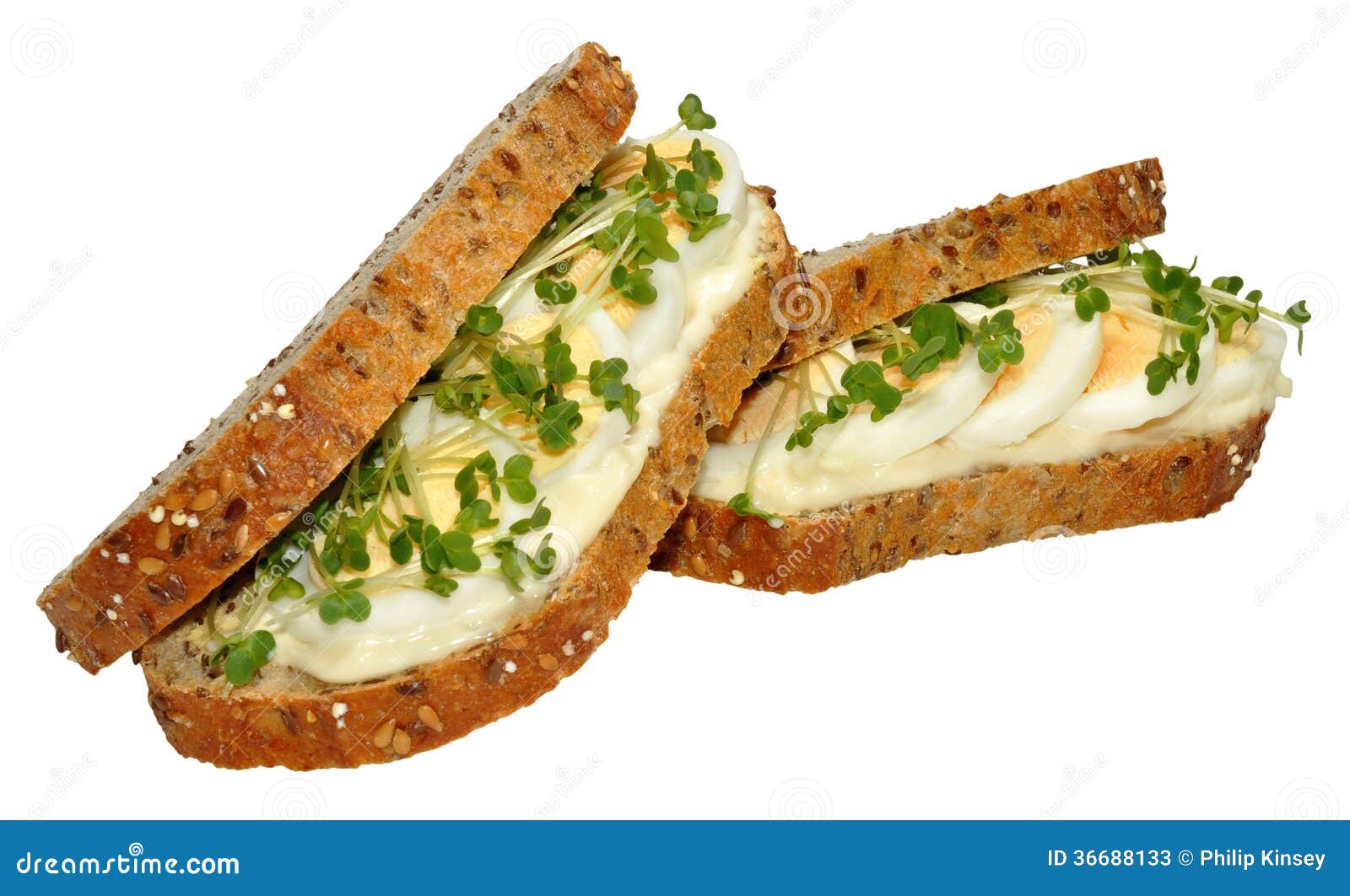 Egg And Cress Sandwich Royalty-Free Stock Photography | CartoonDealer ...