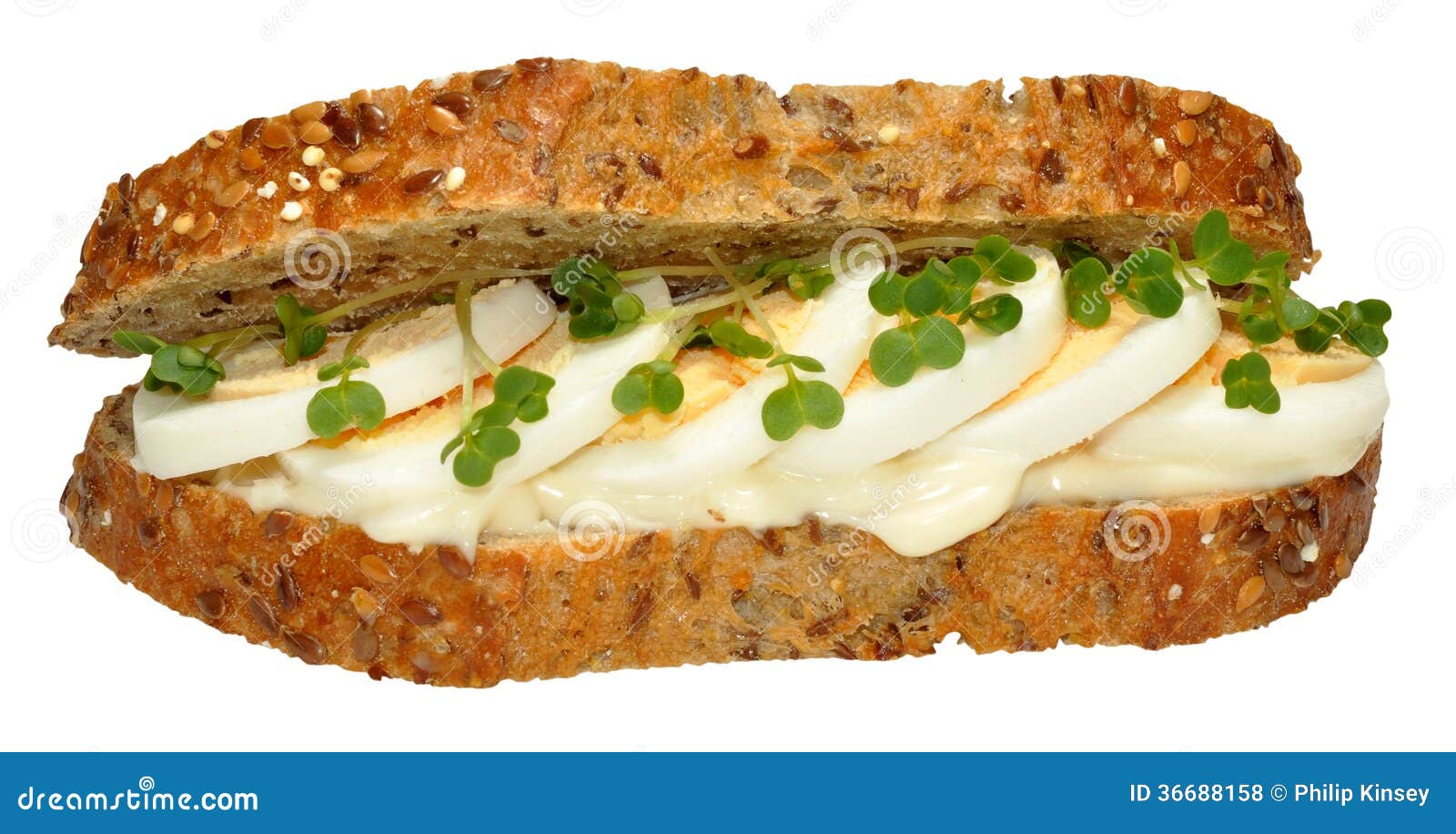 Egg and Cress Sandwich stock photo. Image of background - 36688158