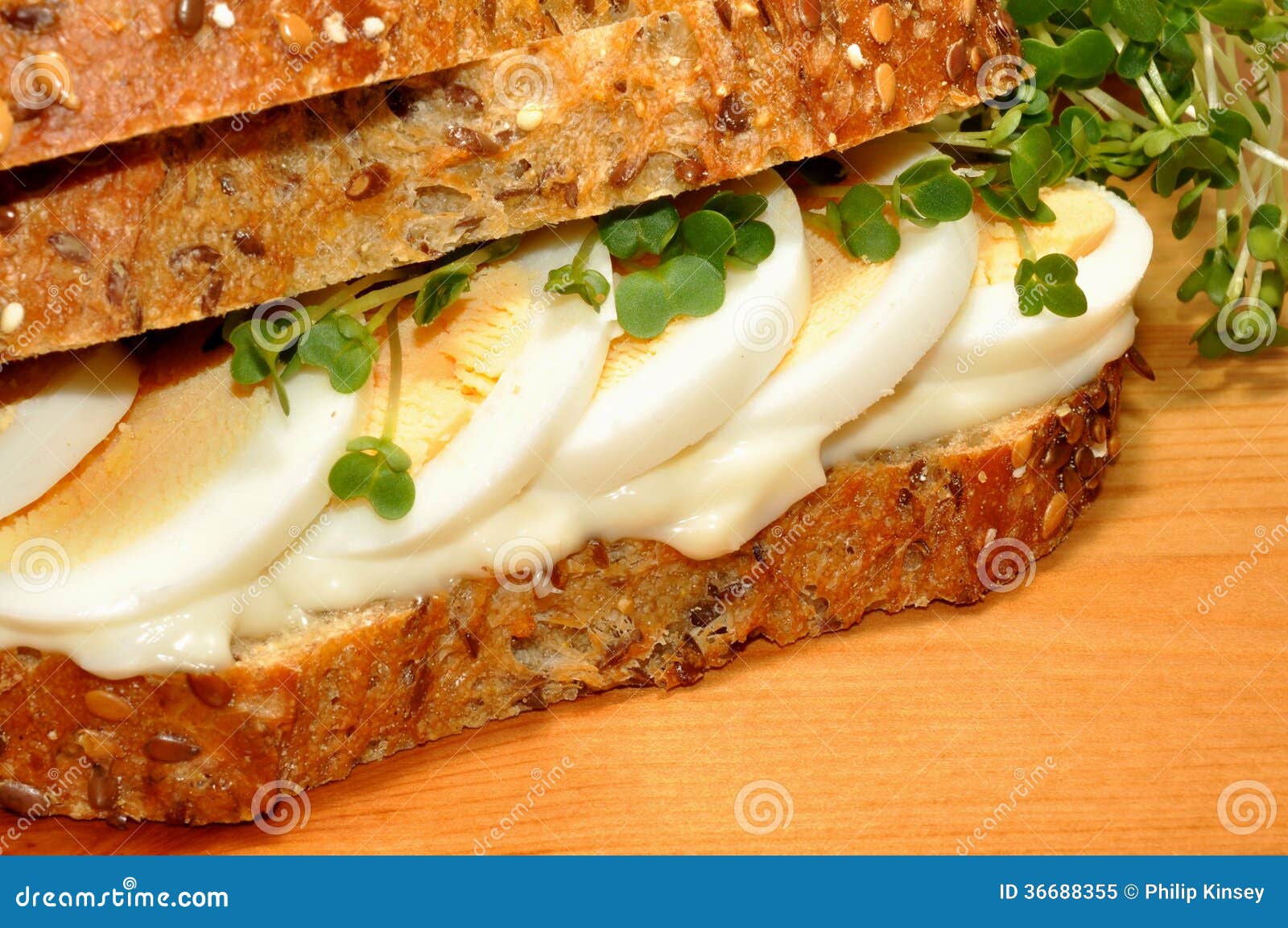 Egg And Cress Sandwich Royalty-Free Stock Photography | CartoonDealer ...