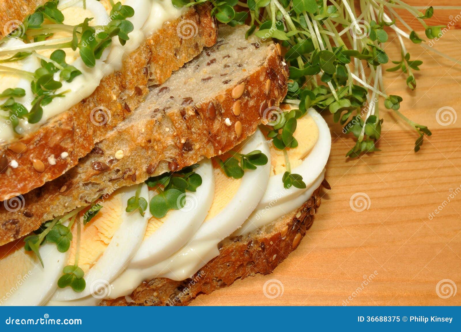 Egg And Cress Sandwich Royalty-Free Stock Photography | CartoonDealer ...