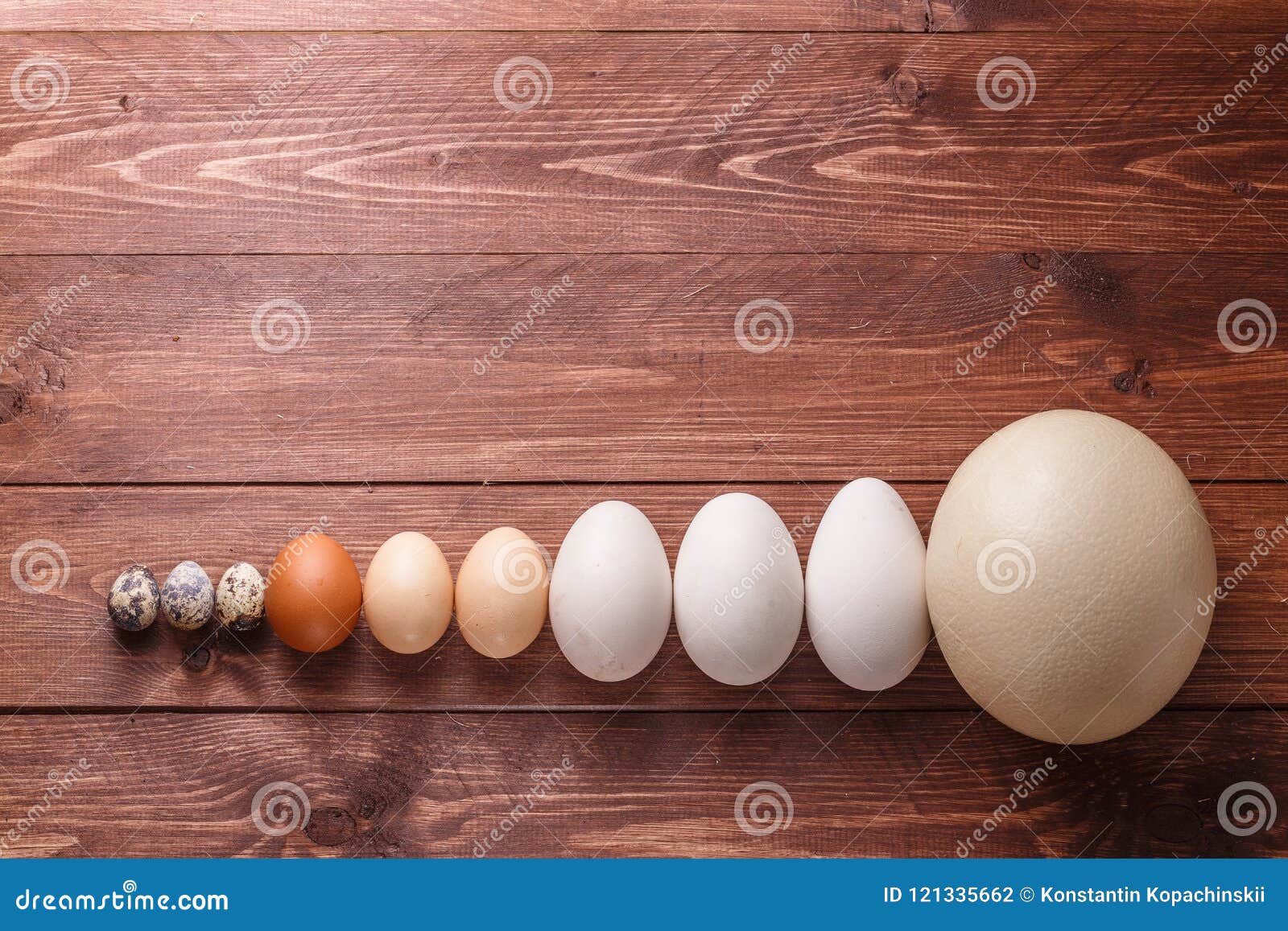 Egg of Different Birds on a Farm Stock Photo - Image of differenteggs ...