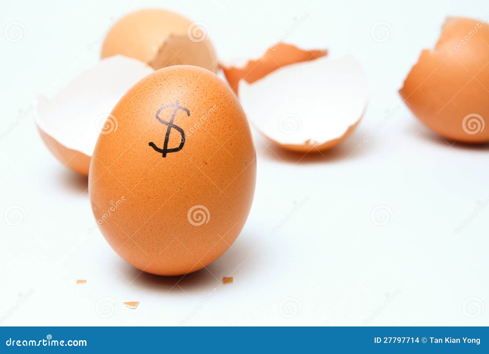 Egg with dollar sign stock photo. Image of dairy, secure - 27797714