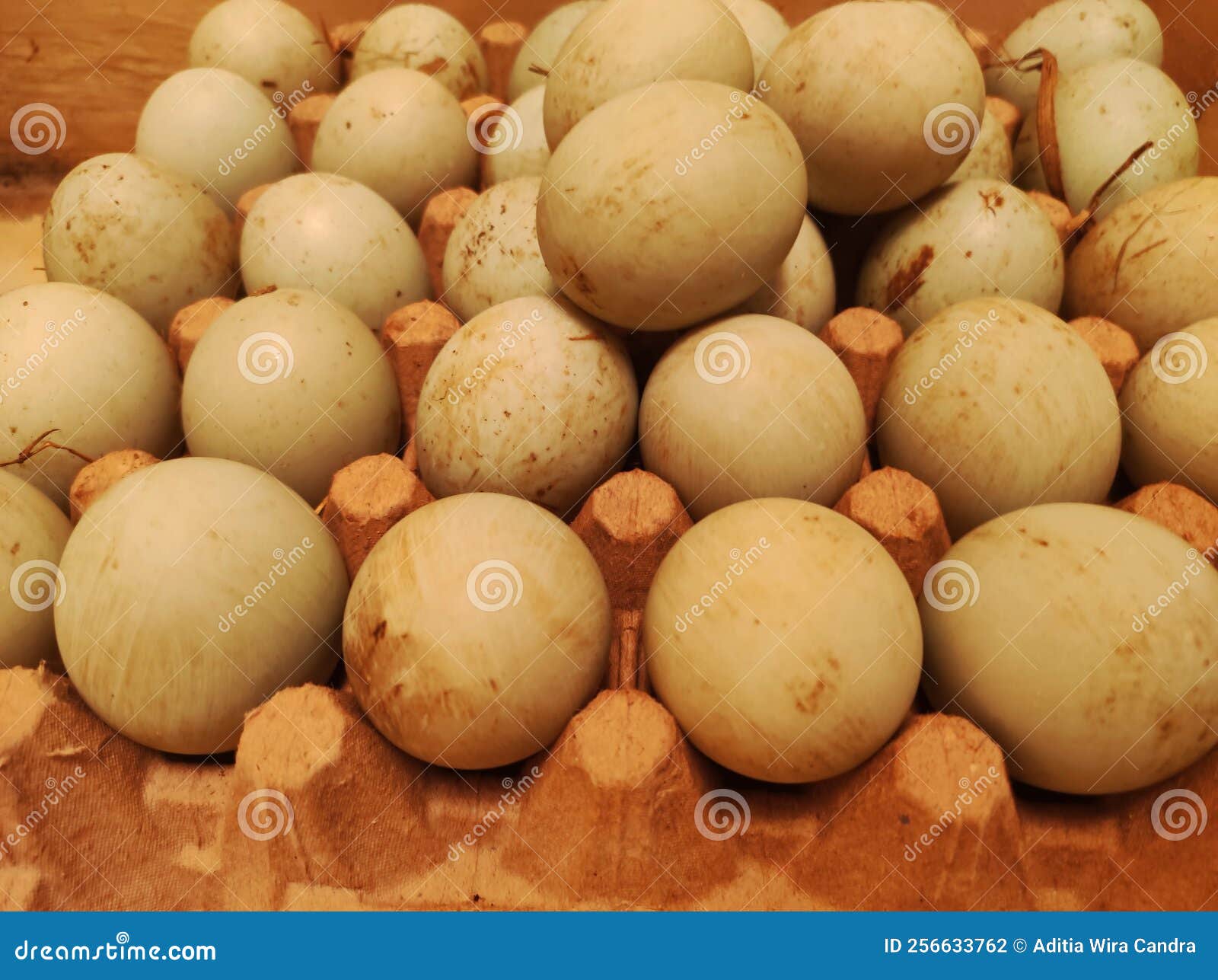 Egg duck ball eat stock photo. Image of duck, agriculture - 256633762