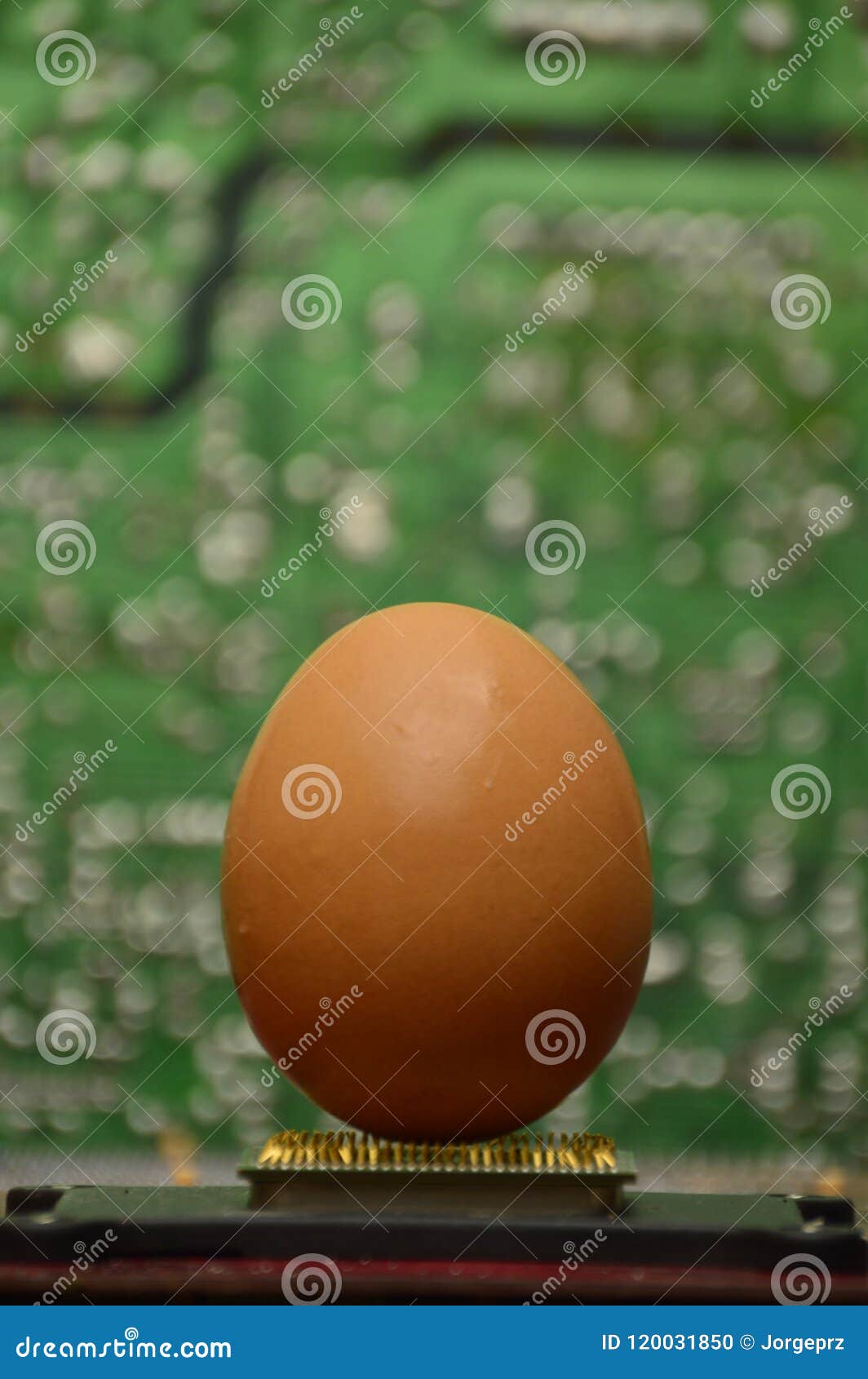 Egg into Electronics Cards. Start Up Concepts. Stock Photo - Image of ...