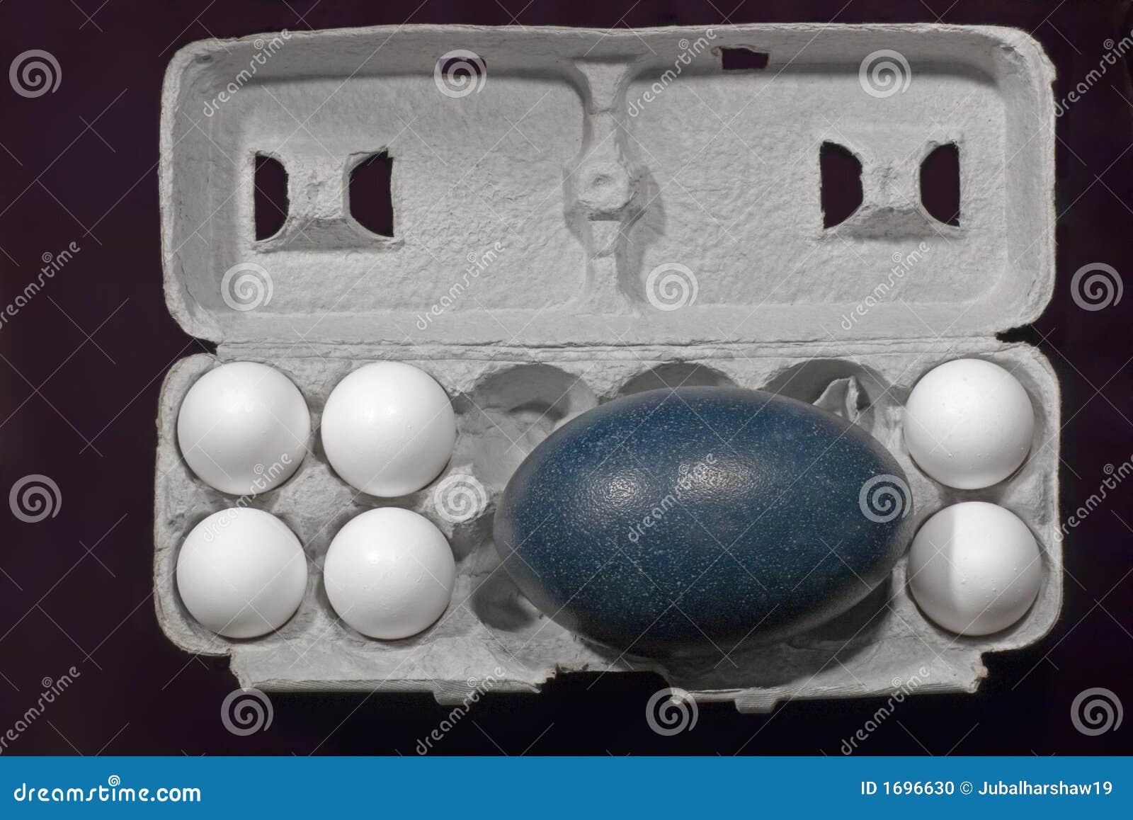 Egg of the Emu (Dromaius Novaehollandiae) Stock Photo - Image of extant ...