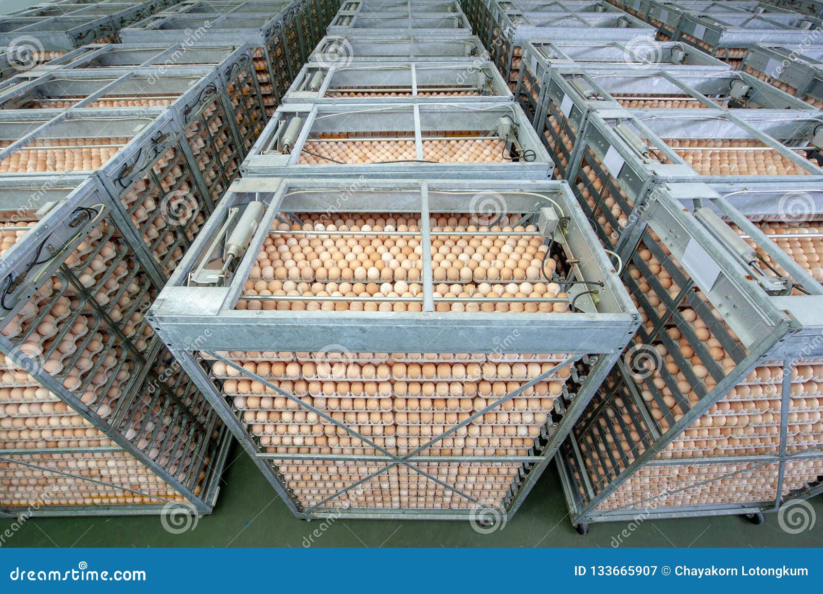 Egg Factory with GOOD Quality Control Stock Image - Image of concepts ...