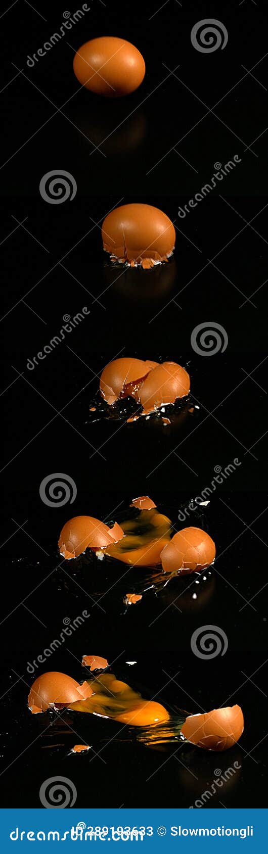 Egg Falling and Exploding on Black Background Stock Image - Image of ...