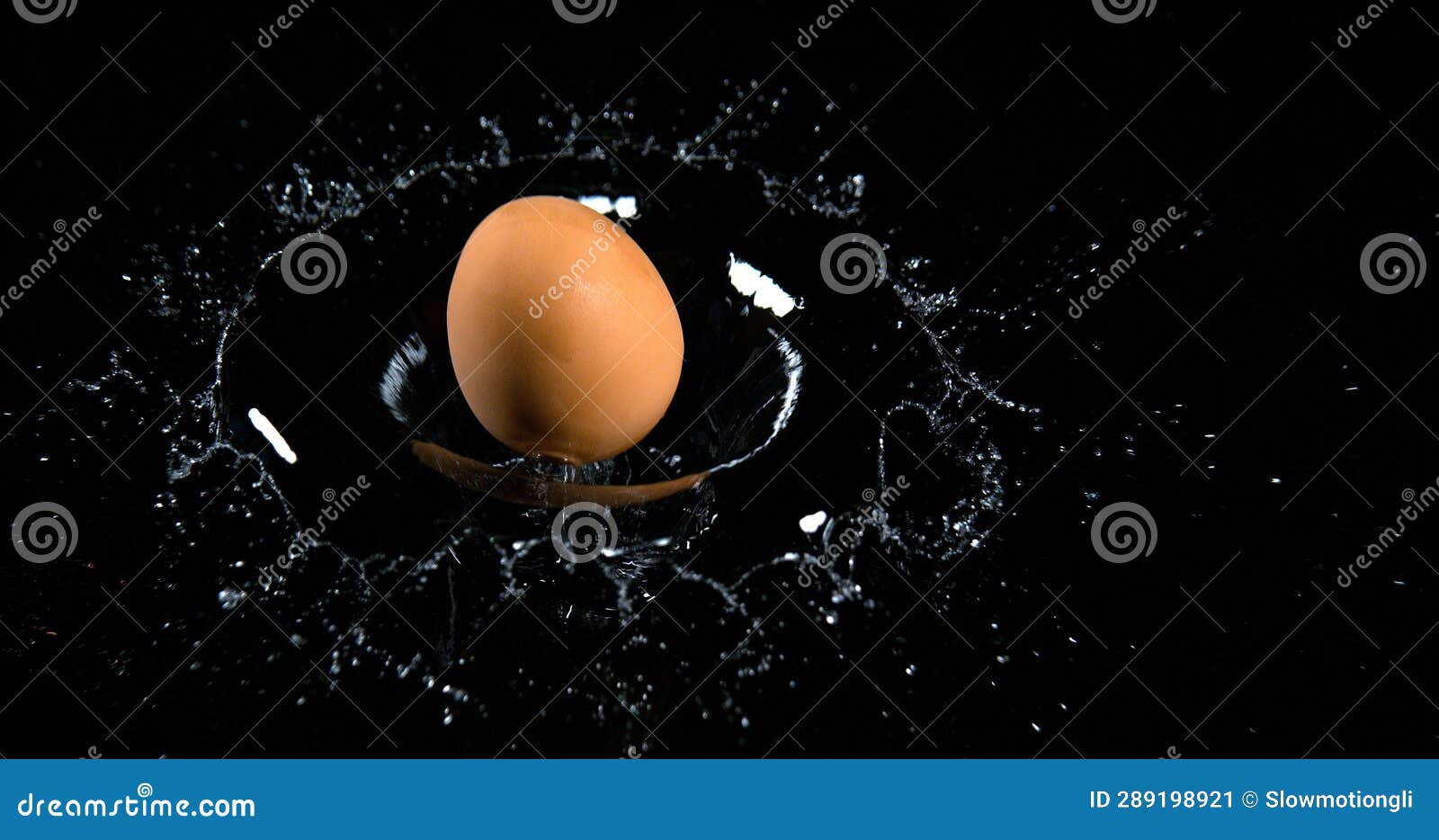 Egg Falling on Water Against Black Background Stock Image - Image of flowing, food: 289198921