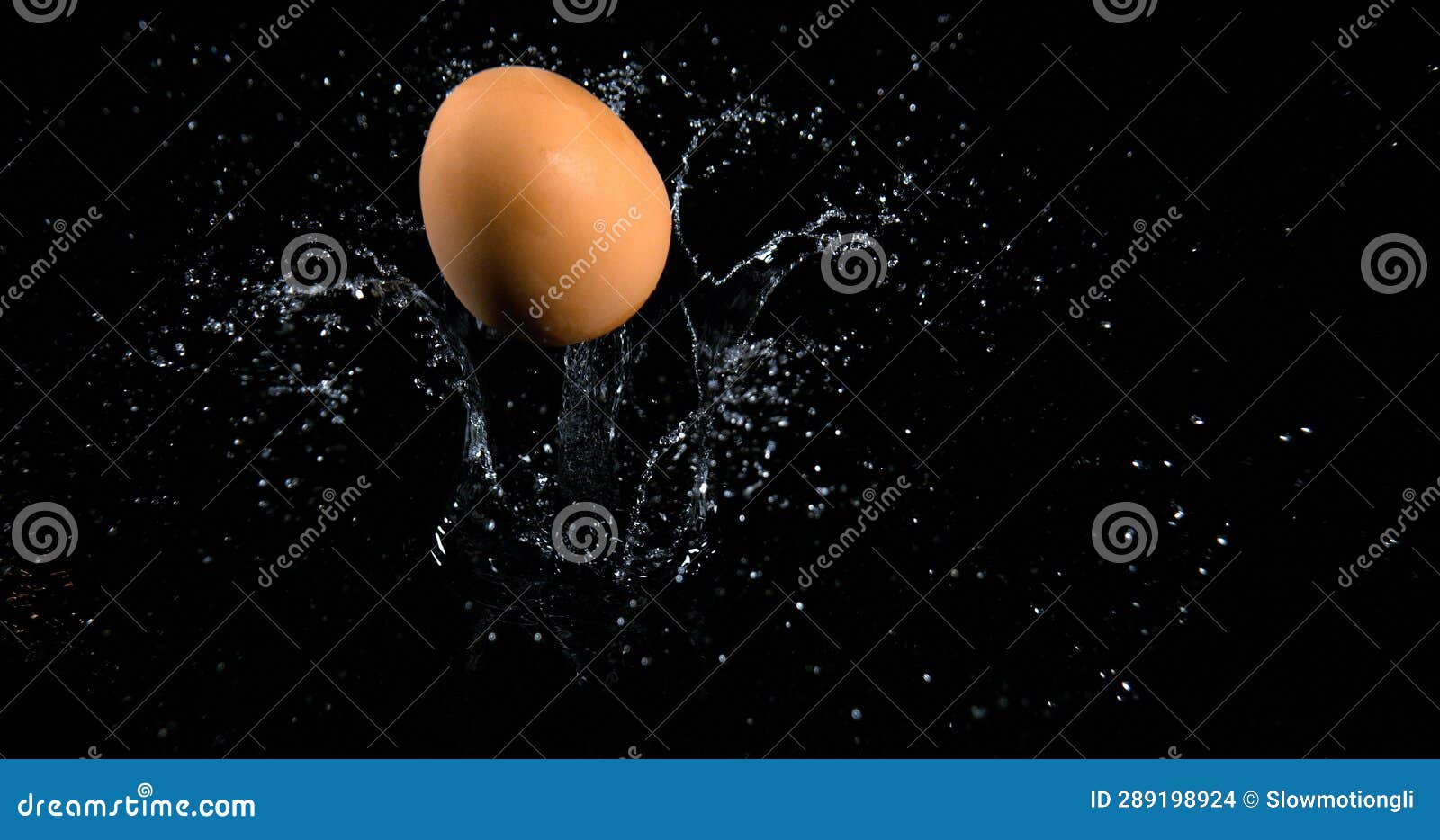 Egg Falling on Water Against Black Background Stock Photo - Image of full, ingredient: 289198924