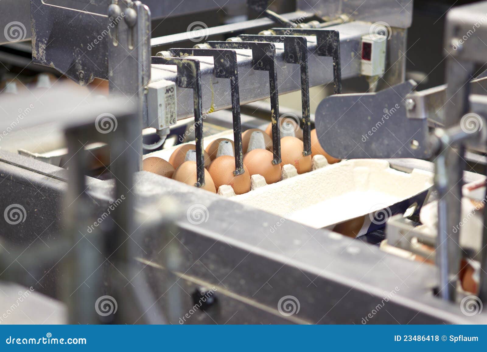 Egg farm stock photo. Image of modern, organic, industry - 23486418