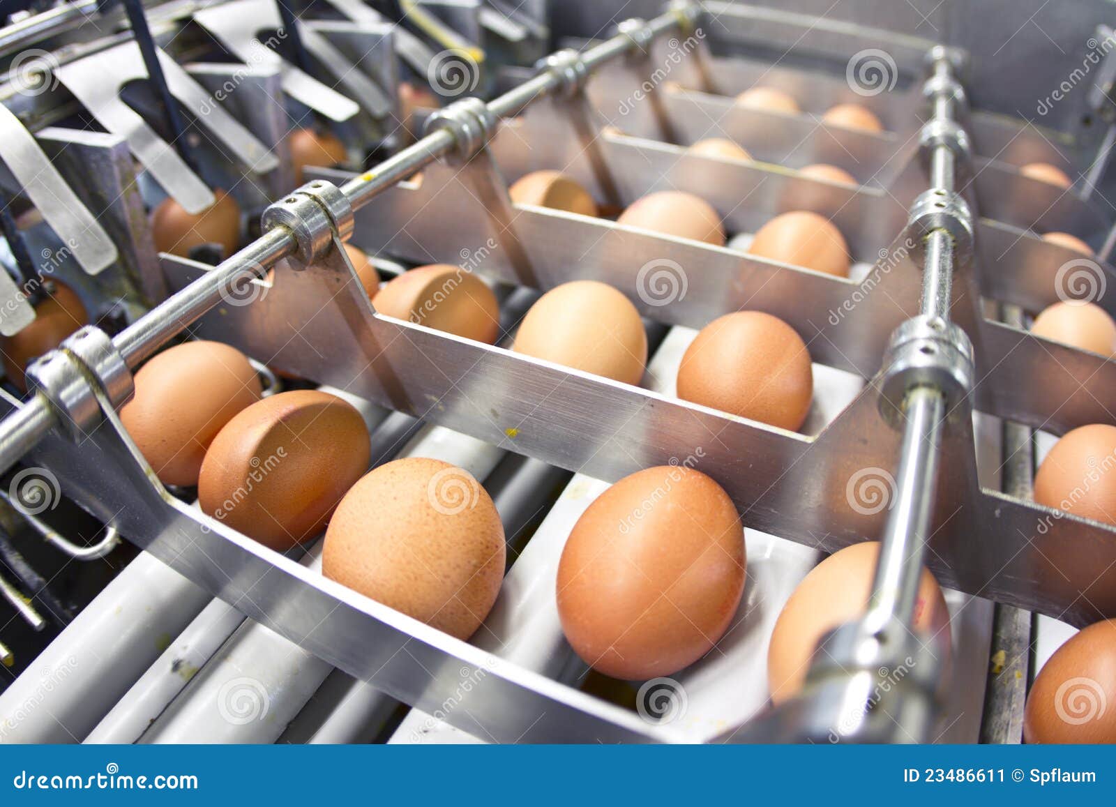 Egg farm stock image. Image of battery, industry, ingredient - 23486611