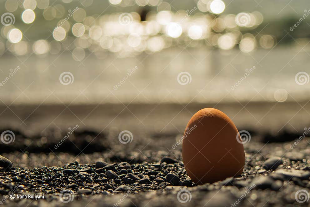 Egg Floating in the Sand, Background of the Ocean at Sunset Stock Image ...