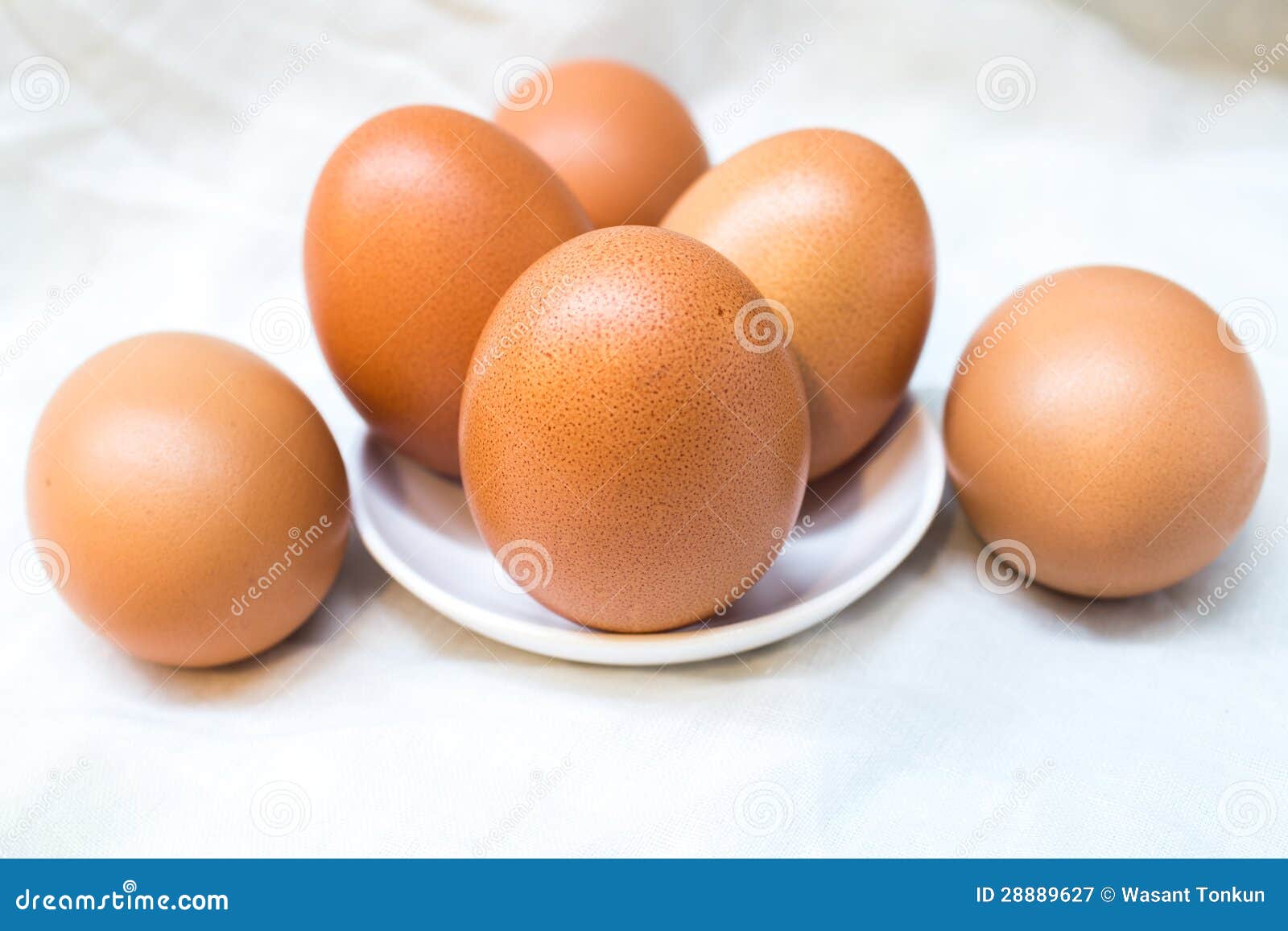 Egg in front stock image. Image of eggshell, albumen - 28889627
