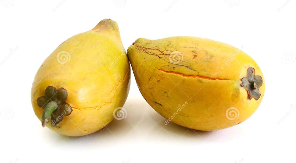 Egg Fruit, Canistel, Yellow Sapote Stock Image - Image of trees ...