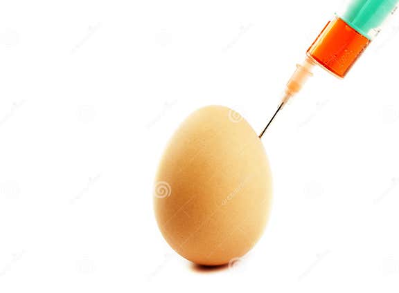Egg gets injection stock image. Image of medicine, food - 15293765