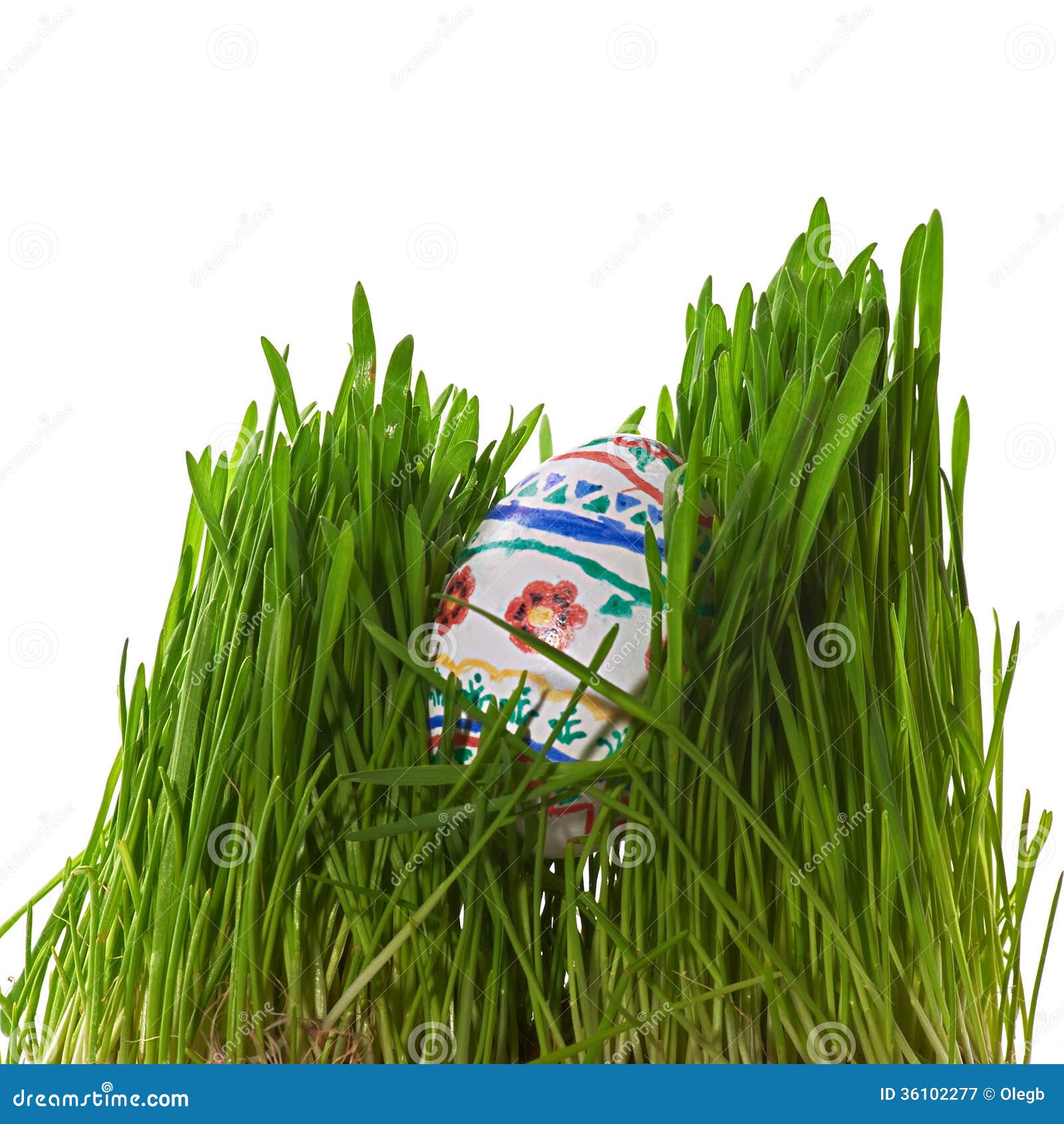 Egg in the grass stock image. Image of fragile, decorations - 36102277