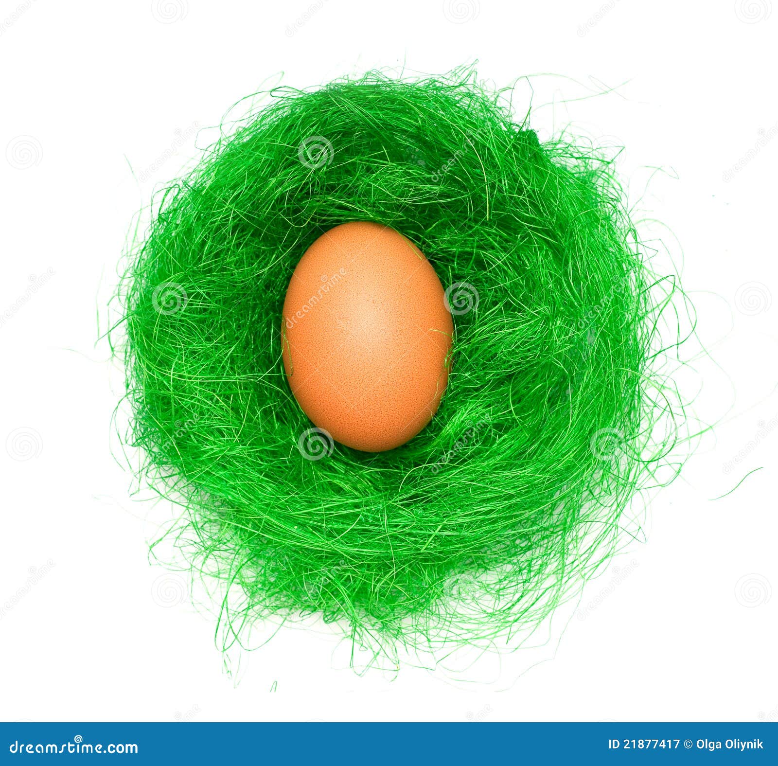 Egg in the green nest stock image. Image of dappled, color - 21877417