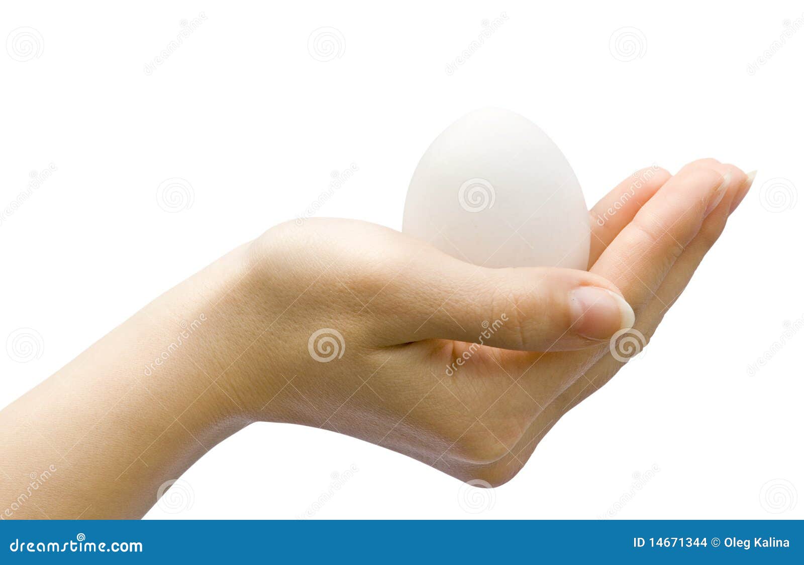 Egg in hand stock photo. Image of object, animal, fragility - 14671344