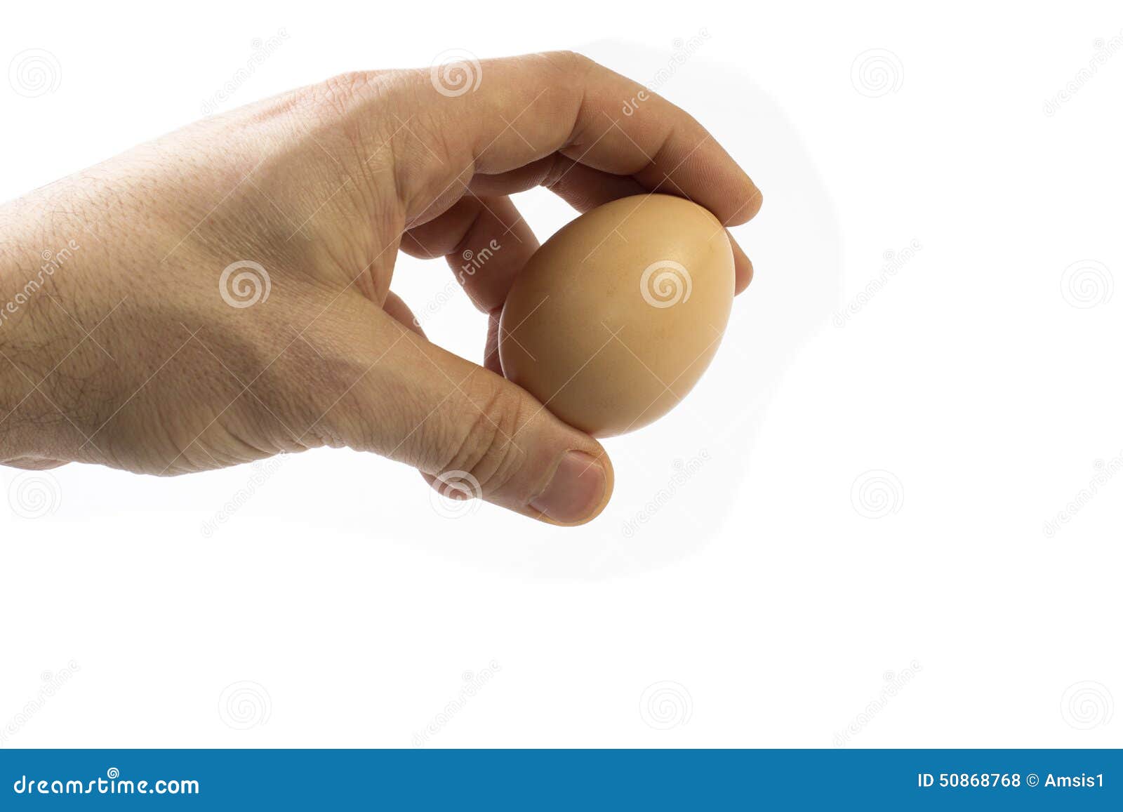 Egg in Hand stock photo. Image of life, hold, insulated - 50868768