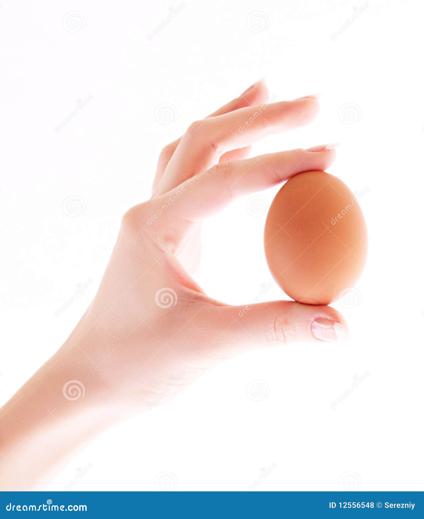 Egg in hand isolated stock photo. Image of closeup, hands - 12556548