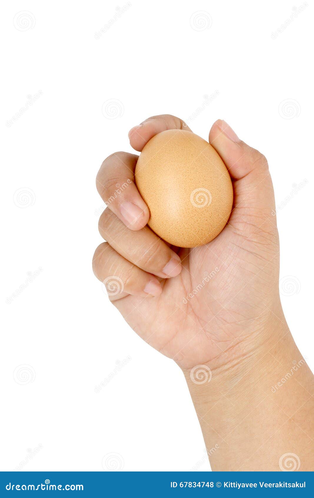 Egg in hand isolated stock photo. Image of hold, fresh - 67834748