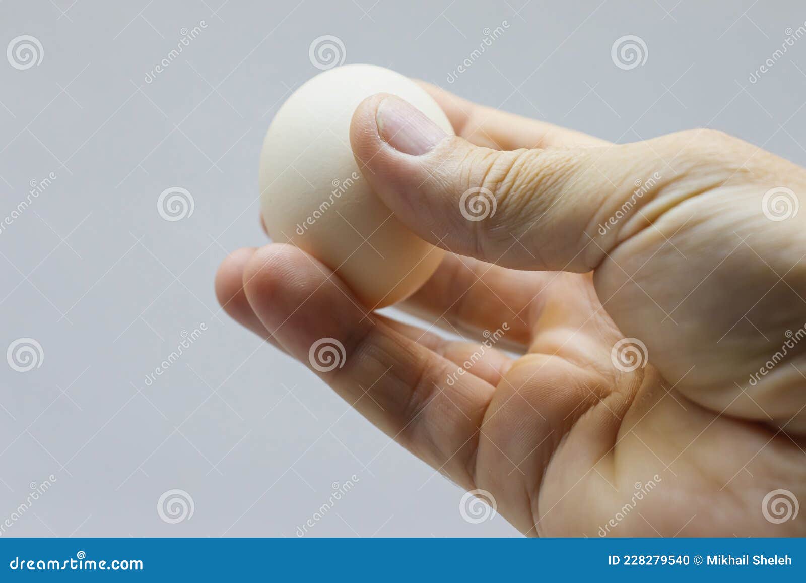 An Egg in the Hand of a Man on a Light Background. Stock Photo - Image ...