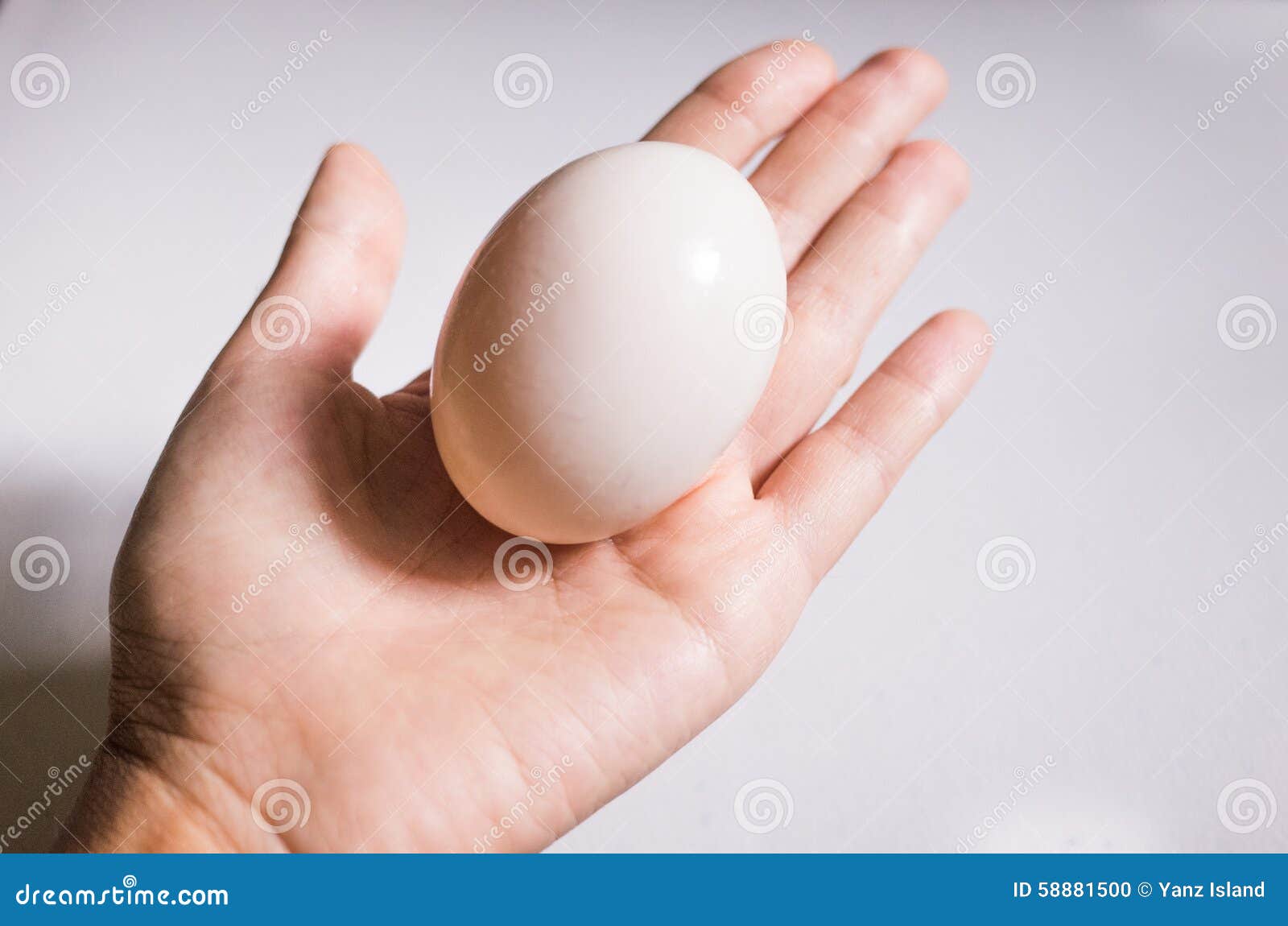 Egg and hand stock photo. Image of food, palm, healthy - 58881500