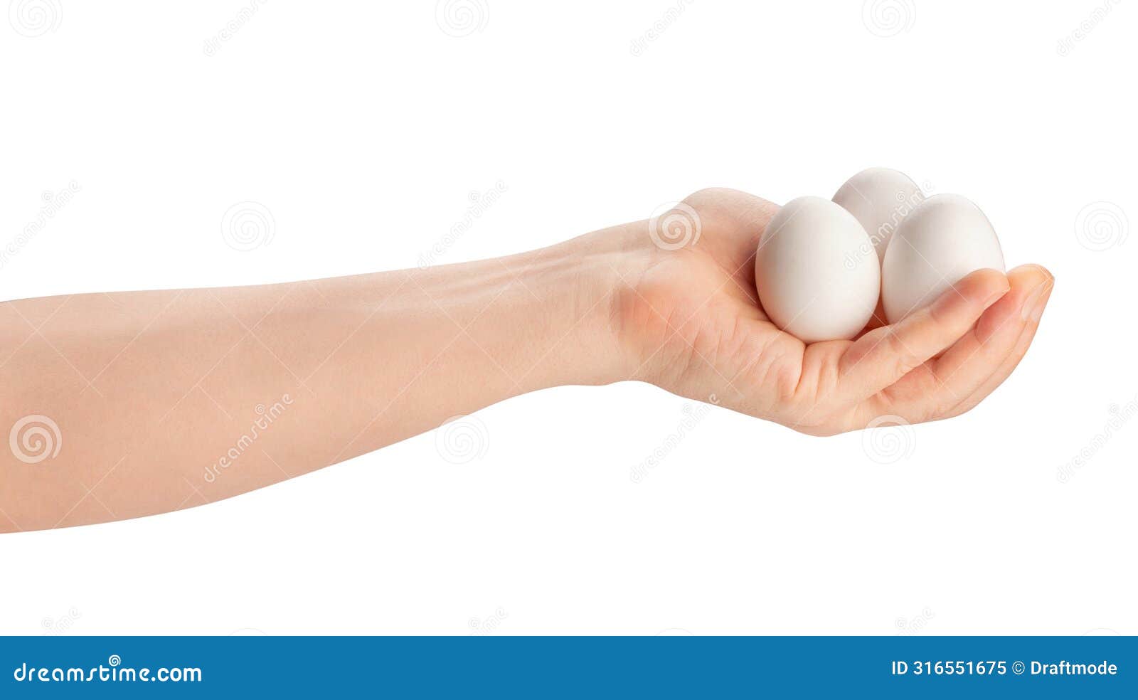 Egg in hand path isolated stock image. Image of stack - 316551675