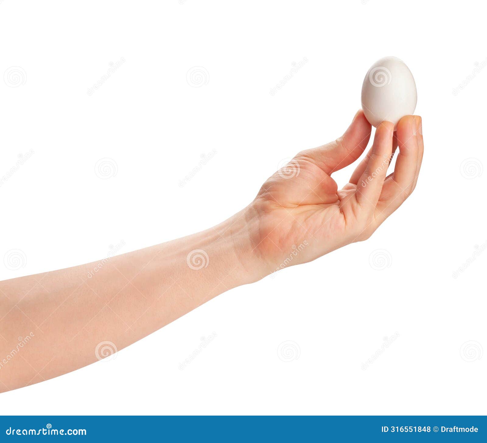Egg in hand path isolated stock photo. Image of fresh - 316551848