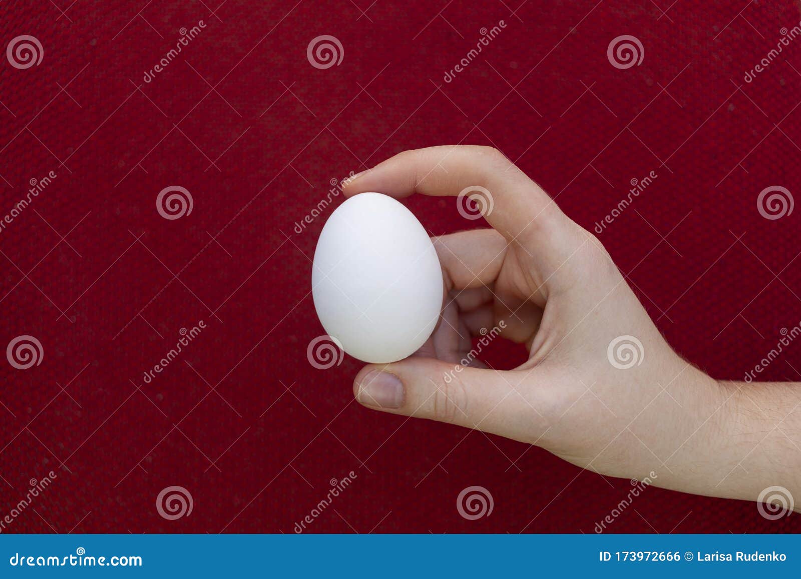 Egg in Hand on a Red Background Stock Photo - Image of imprint, painted ...
