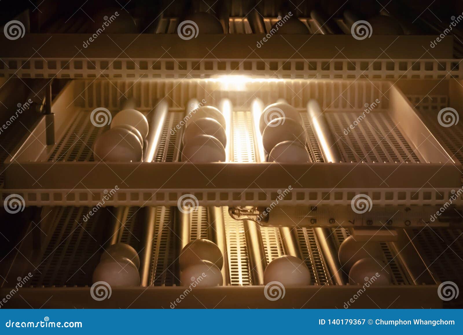 Tray Of Ear Candling Equipment Royalty-Free Stock Image | CartoonDealer ...