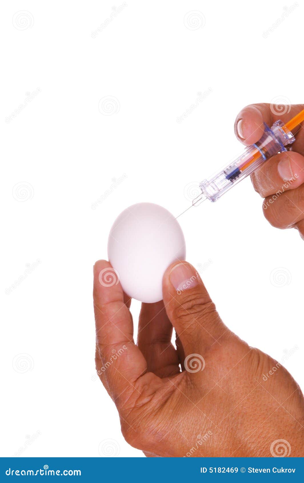 Egg Injection stock image. Image of needle, injection - 5182469