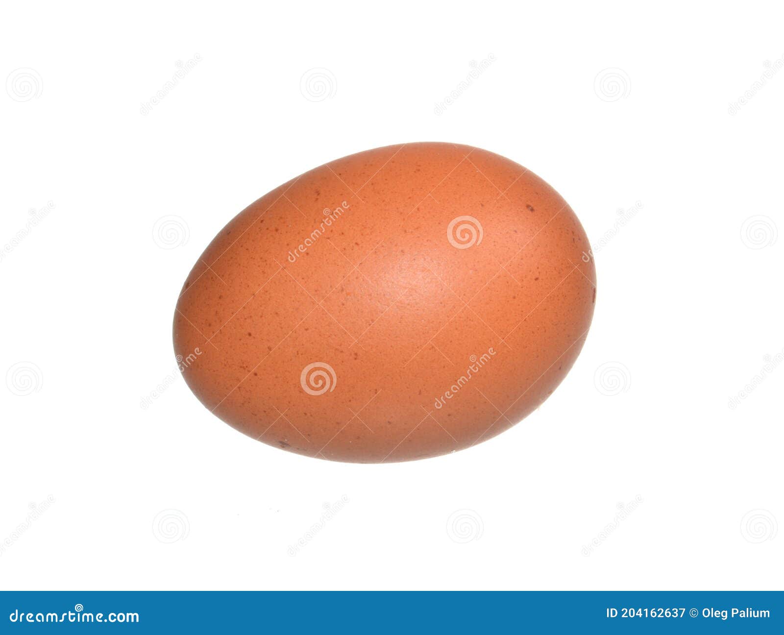 Egg Isolated on White Background Stock Image - Image of product ...