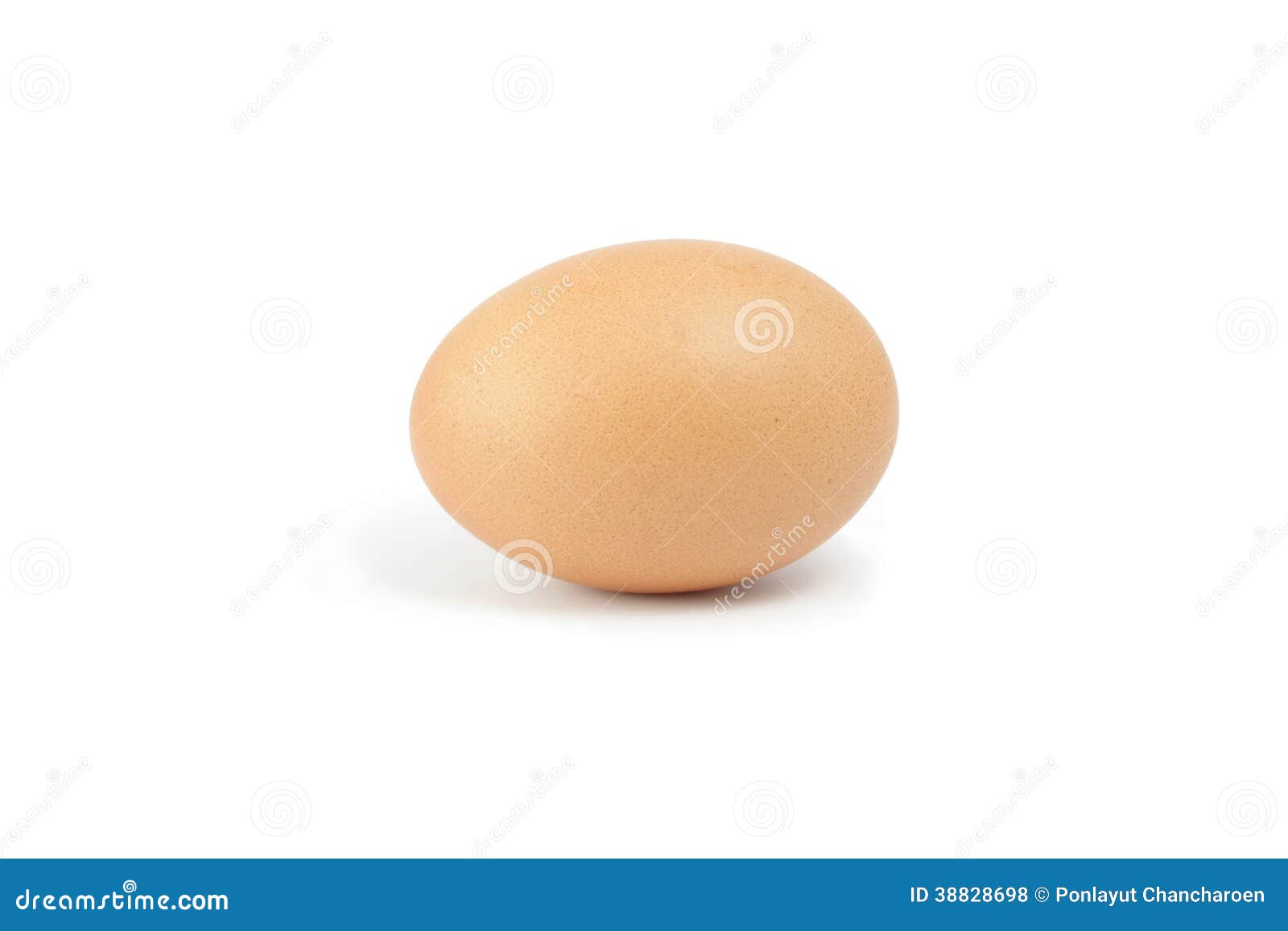 Egg on Isolation Background Stock Photo - Image of white, eggs: 38828698