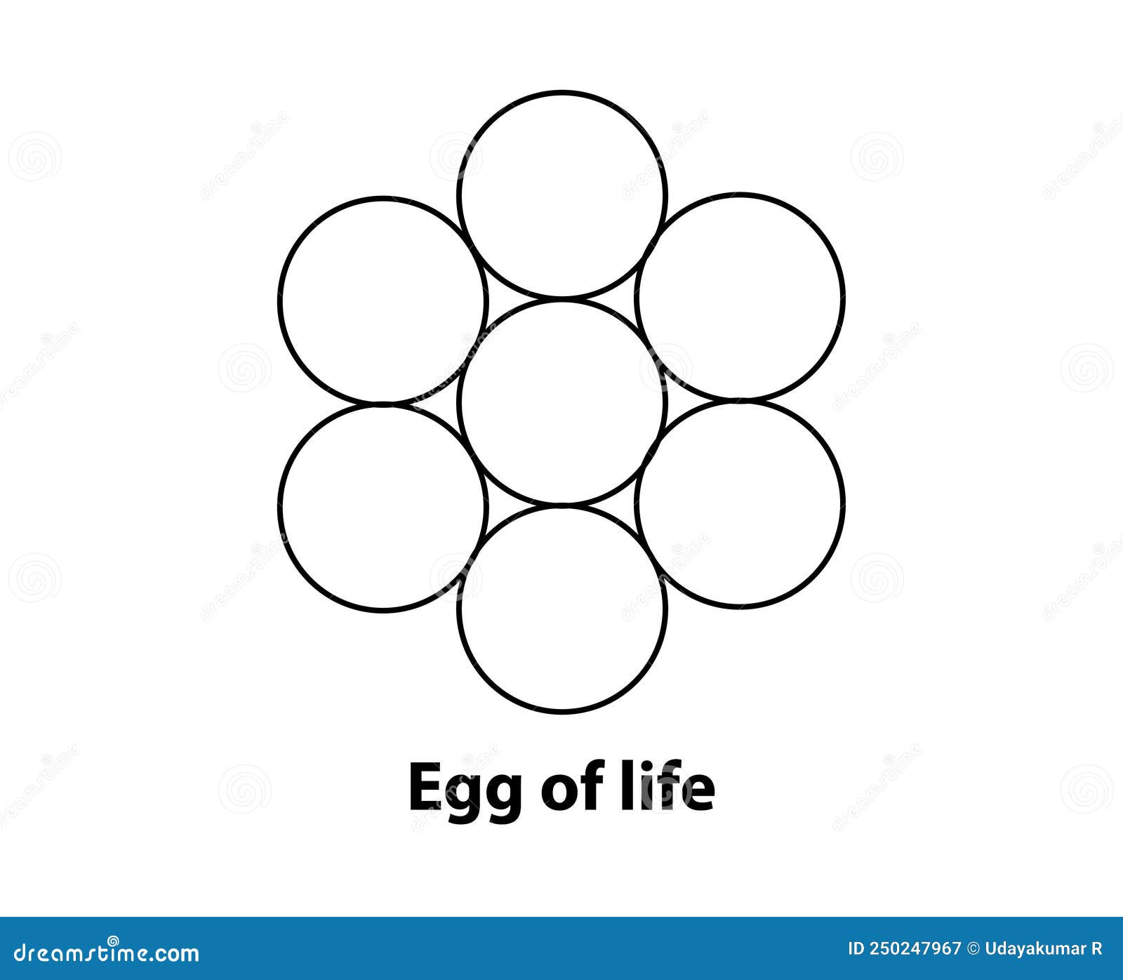 The Egg of Life is One of the Basic Sacred Geometry Shapes Stock Vector ...