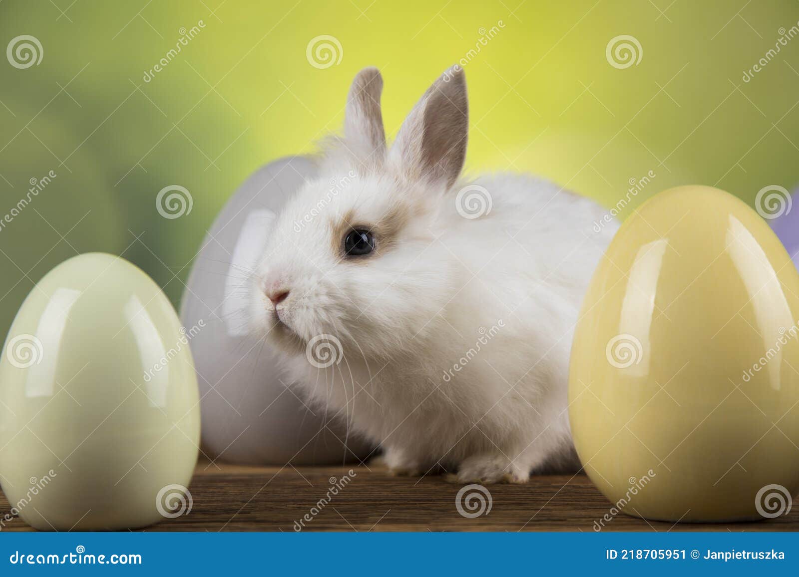 Egg,Little Bunny, Happy Easter Background Stock Image - Image of animal ...