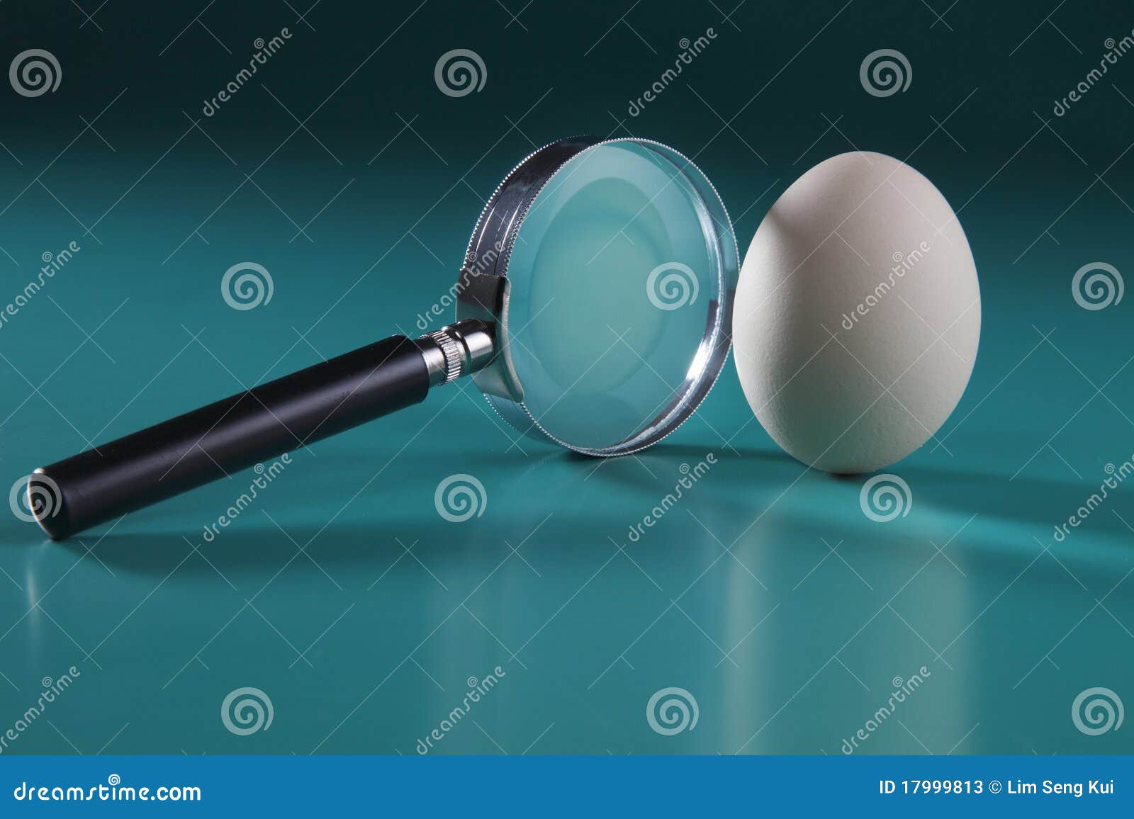 106 Egg Magnifier Stock Photos - Free & Royalty-Free Stock Photos from ...