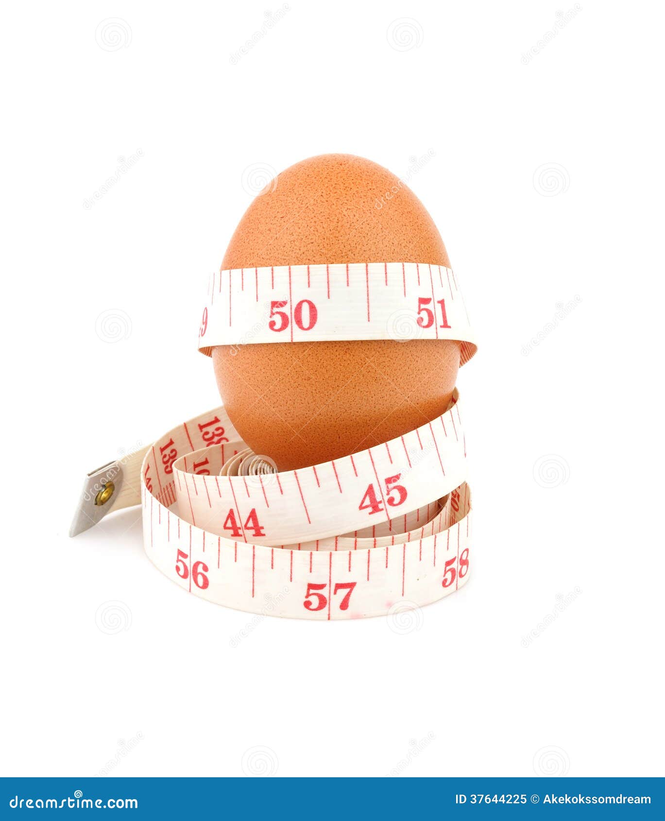 Egg and Measurement Tape Isolated on White Background Stock Image ...