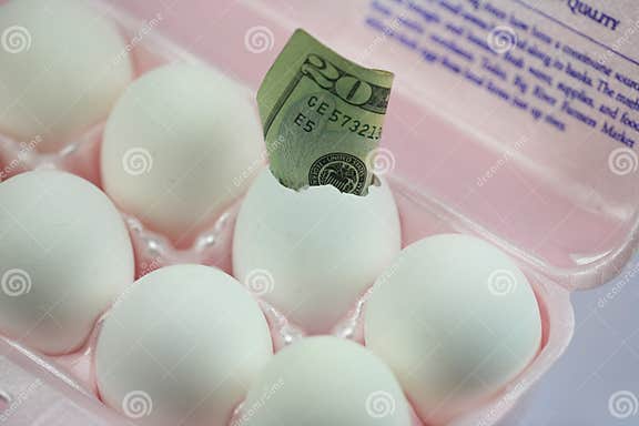 Egg money stock image. Image of white, finance, containers - 6790313