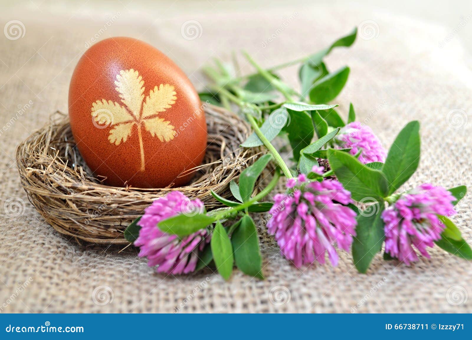 Egg Nest Red Clover Flowers Stock Photos - Free & Royalty-Free Stock ...