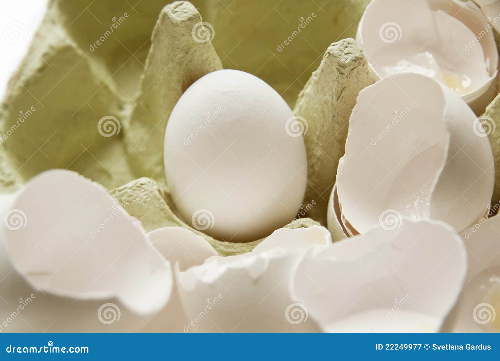 Egg in open packaging stock image. Image of container - 22249977