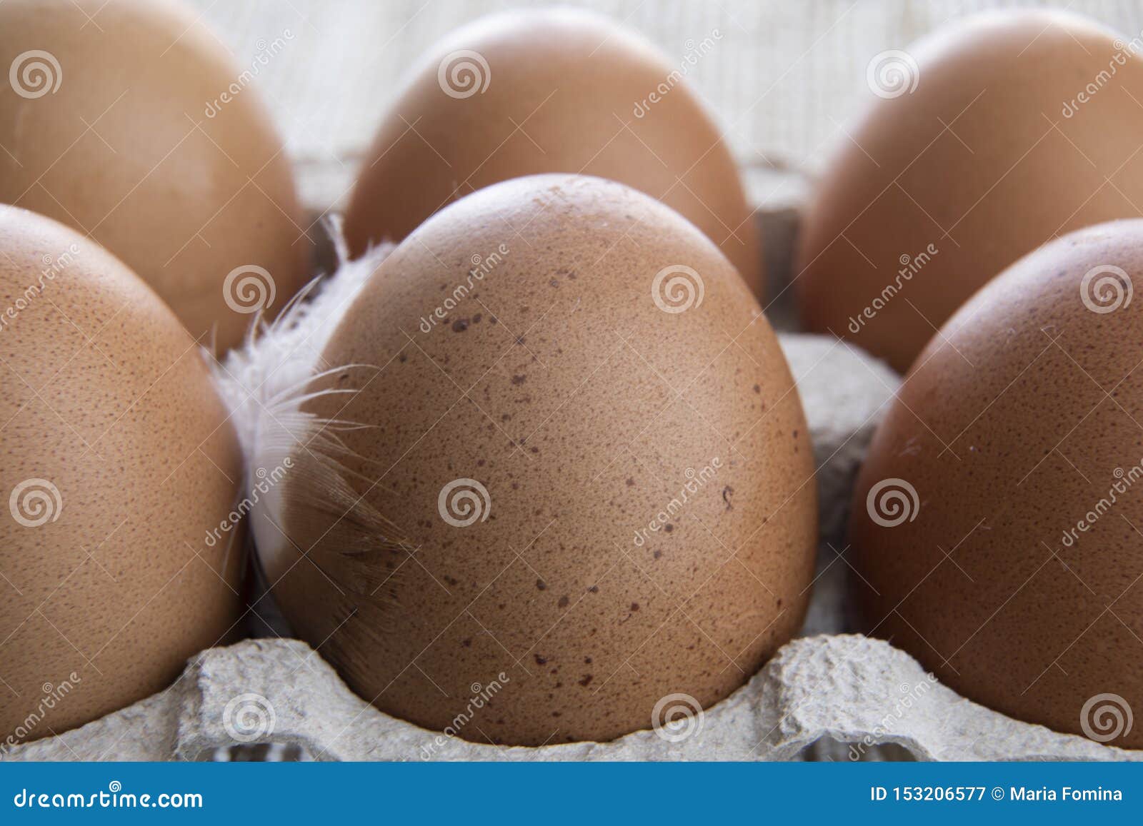 Egg. Ordinary Chicken Eggs stock image. Image of harvest - 153206577