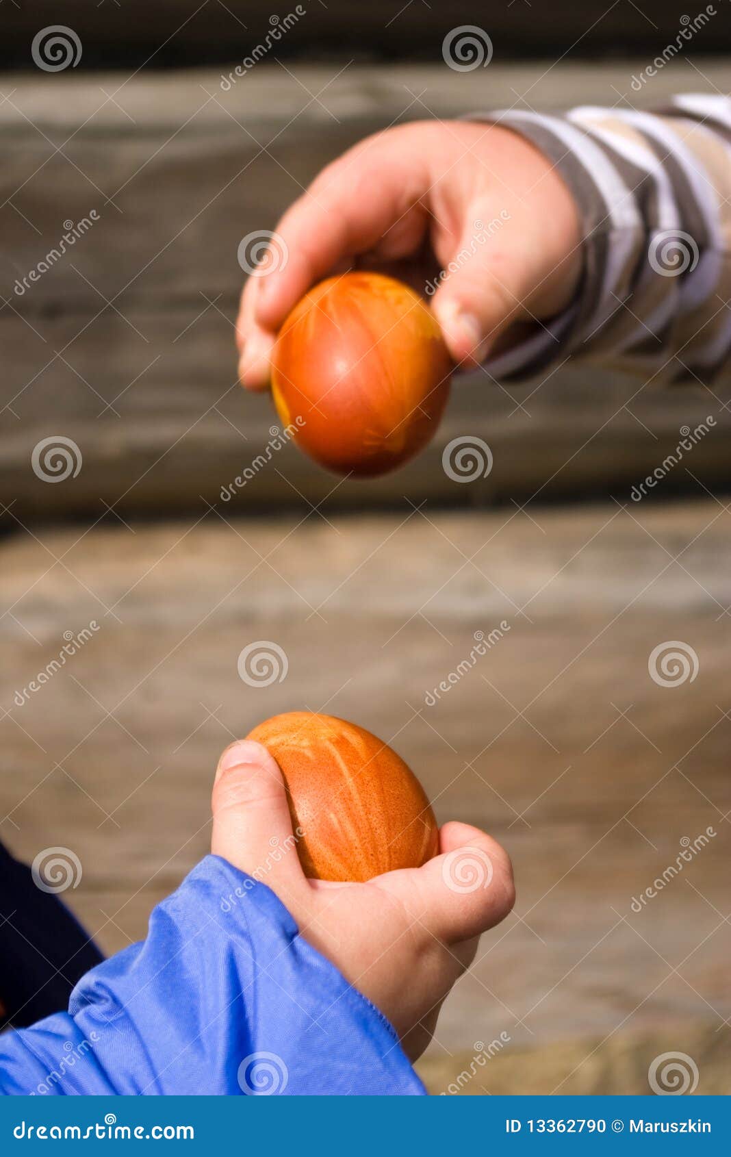 Egg Pecking stock photo. Image of eggs, food, colored - 13362790